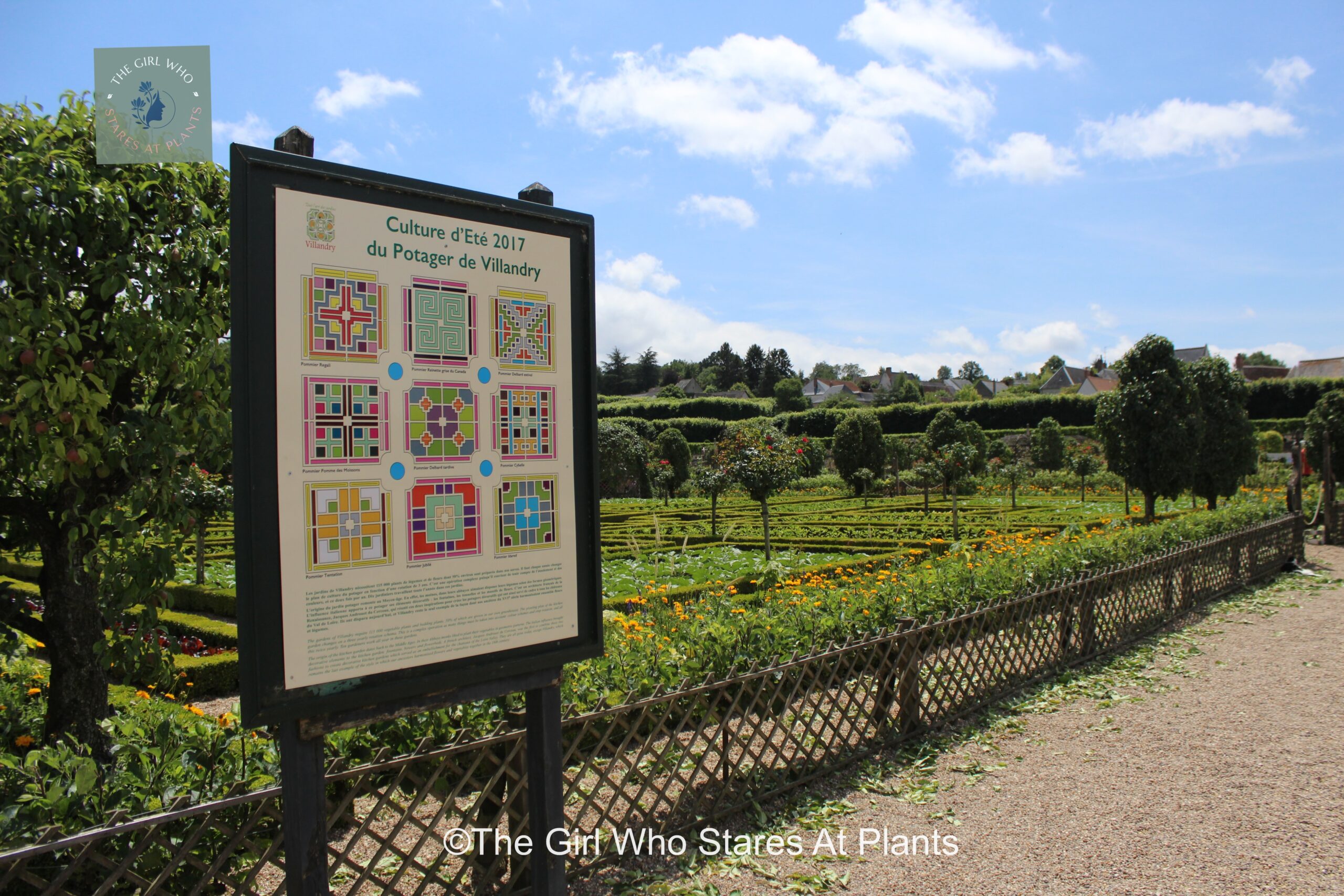 The Ultimate Guide to Garden Planning Ideas - TGWS@P