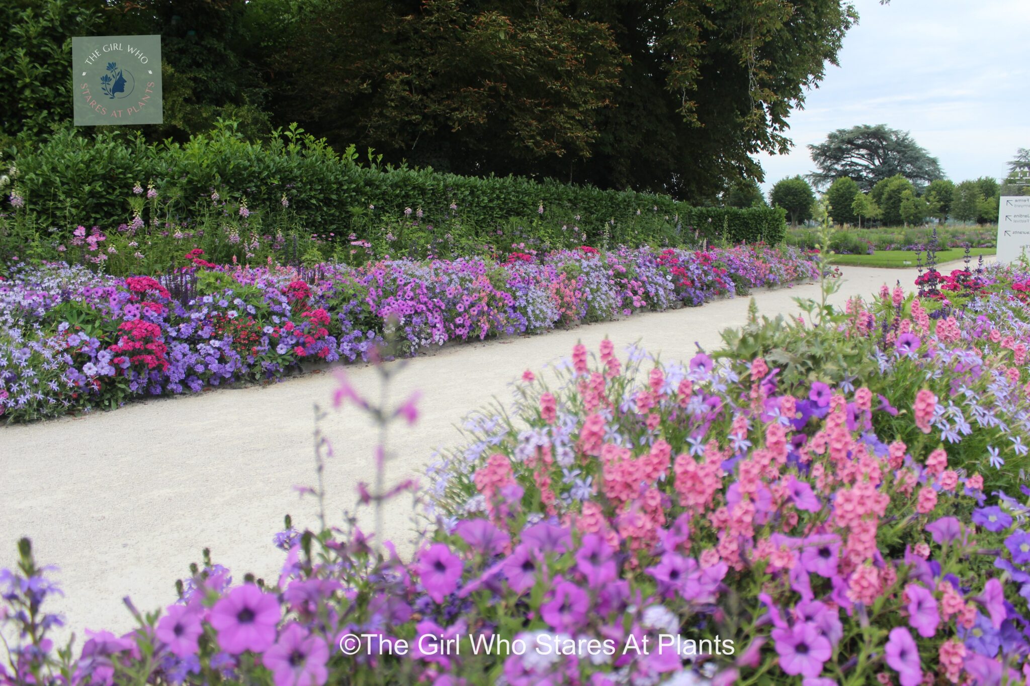 Seeds, Trees and the Wonderful World of Flowers - TGWS@P