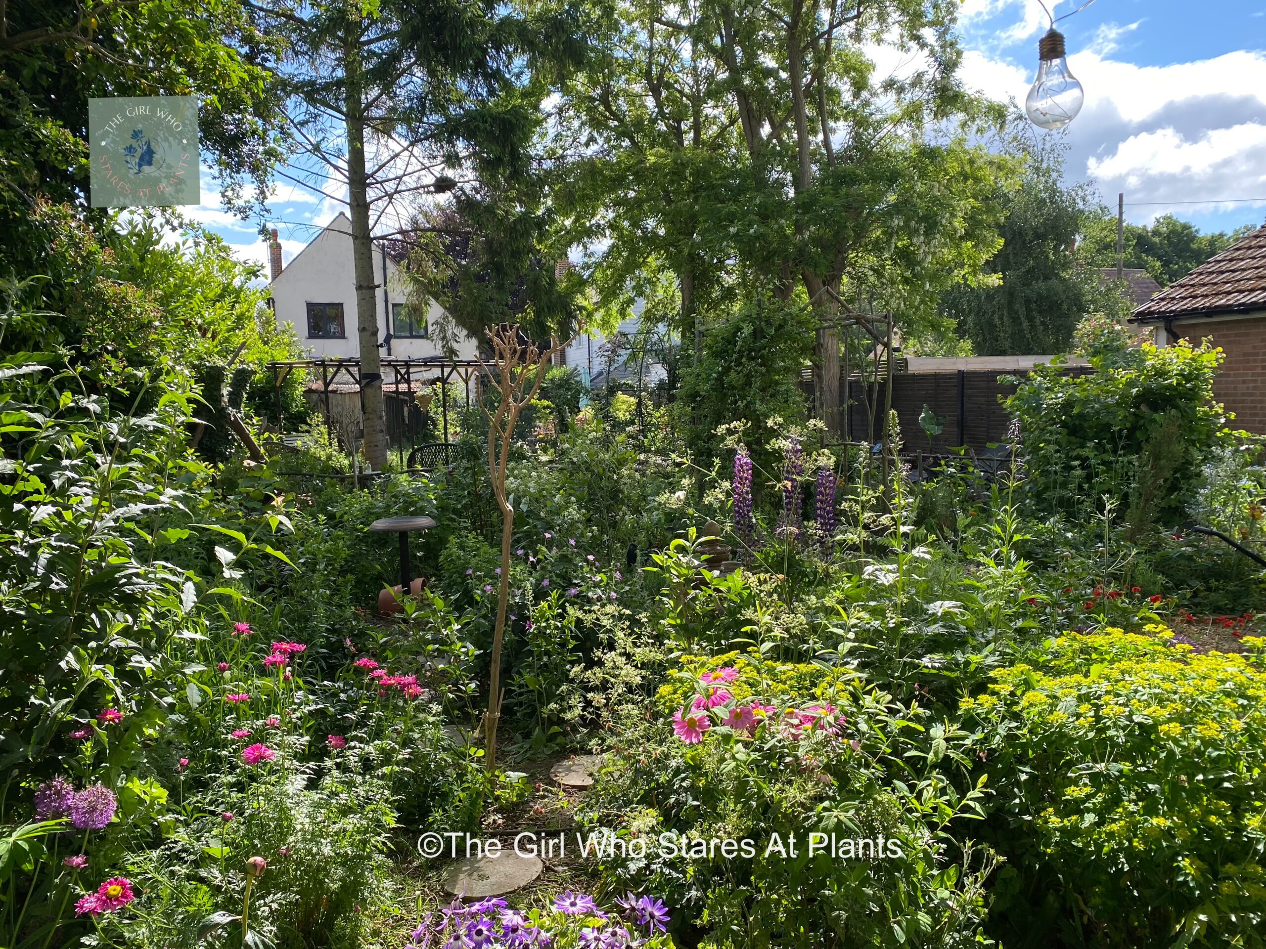 The Ultimate Guide to Garden Planning Ideas - TGWS@P